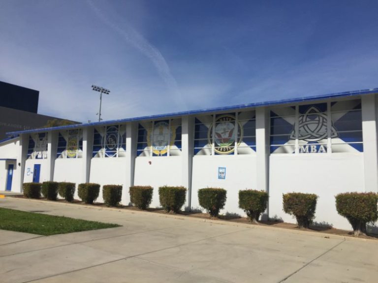 Perforated Window Graphics for Schools in Los Angeles!